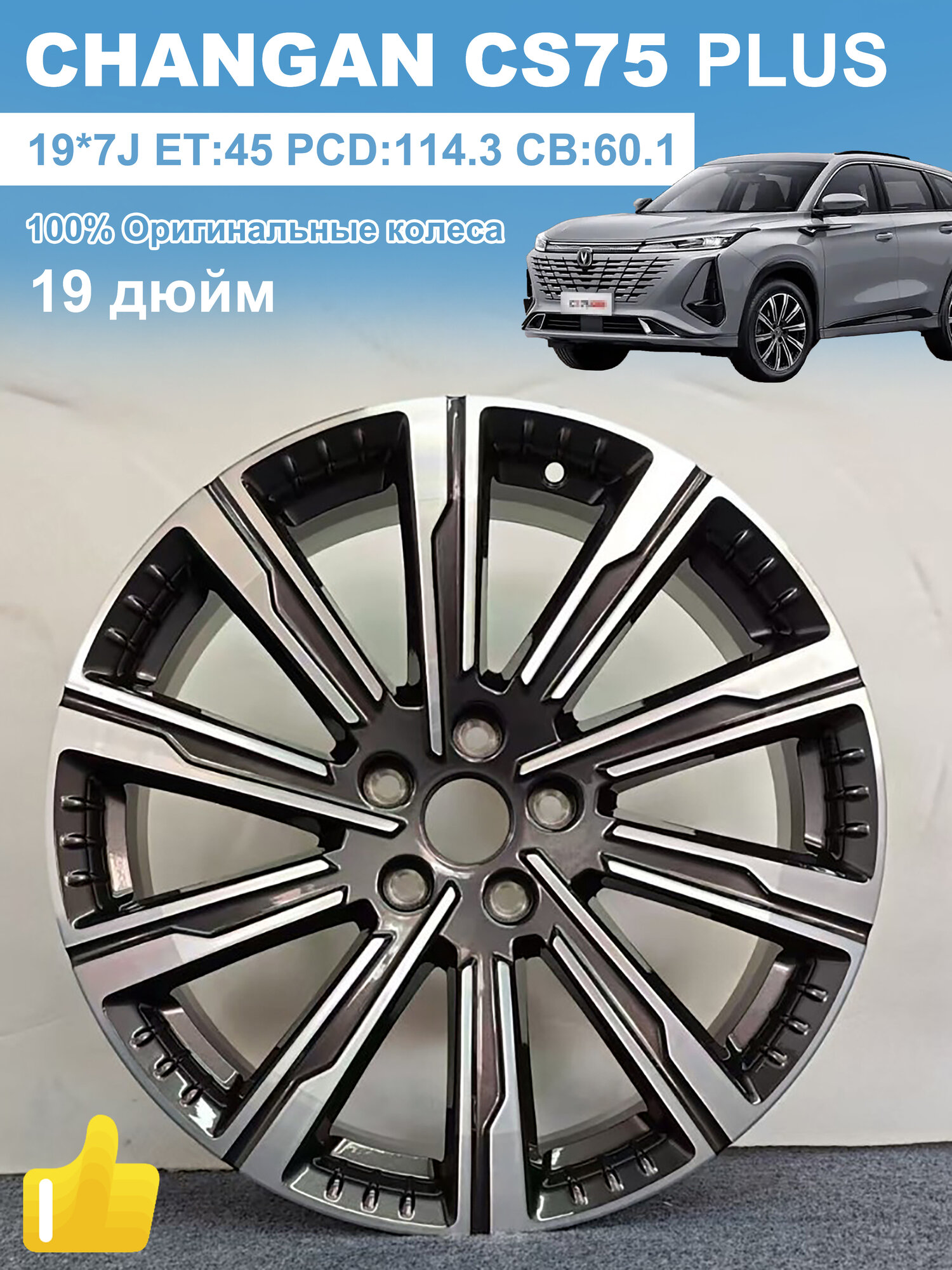 Оригинальный литой диск CHANGAN CS75 PLUS 19x7J 5/114.3 ET45 DIA 60.1
