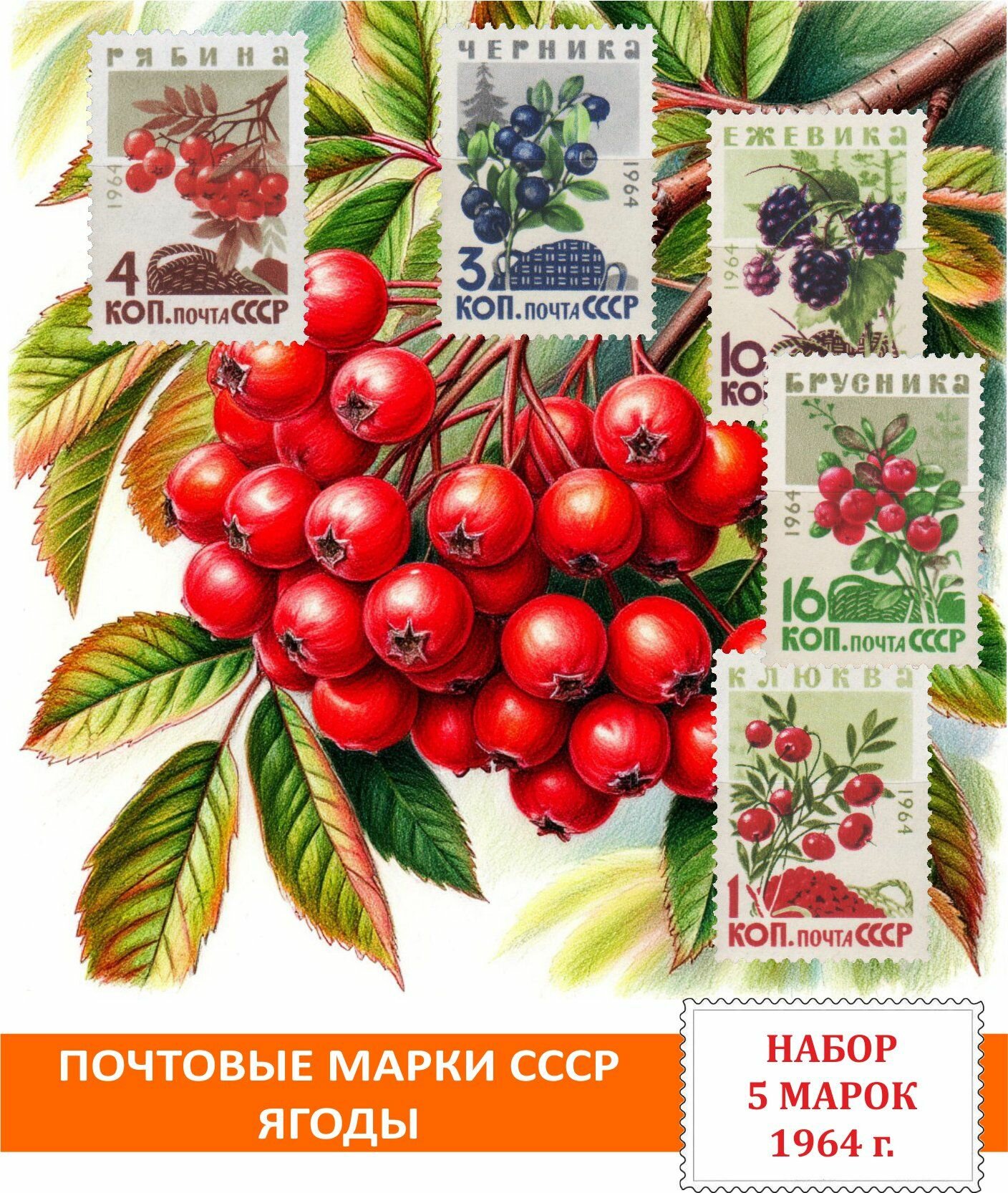 Почтовые марки СССР. Флора. Ягоды. Набор 5 марок 1964 года выпуска.
