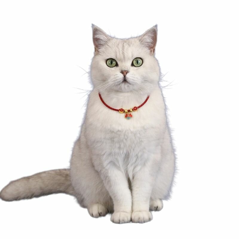 Ошейник из искусственной кожи для кошек и собак-плетеный ошейник red lock collar M