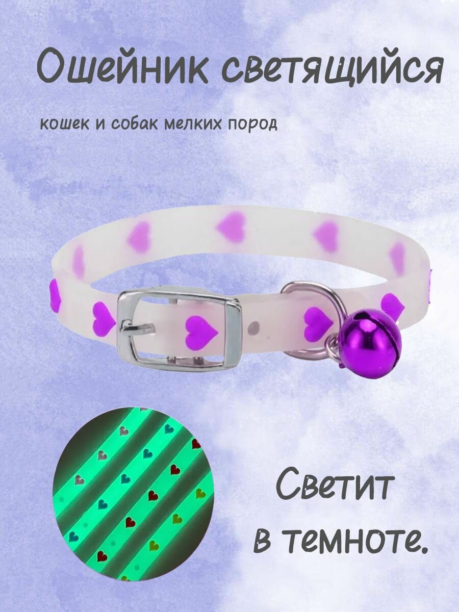 Ошейник светящийся для кошек и собак мелких пород