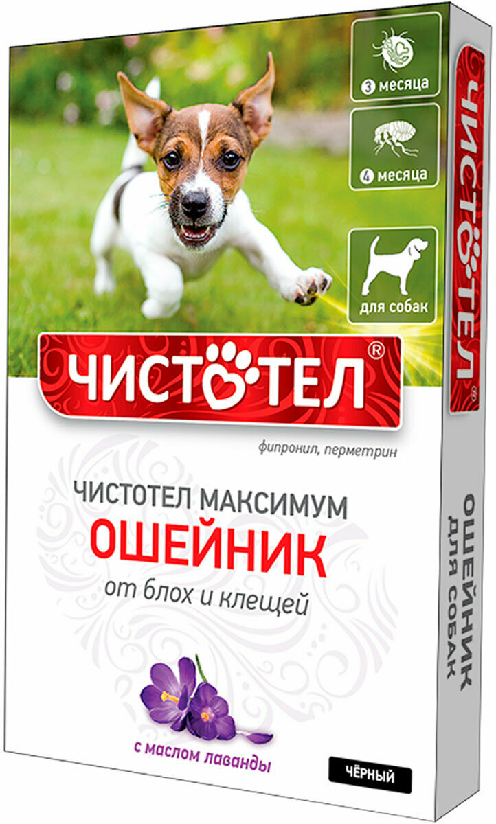 Чистотел максимум ошейник для собак против блох и клещей черный 65 см (1 шт)