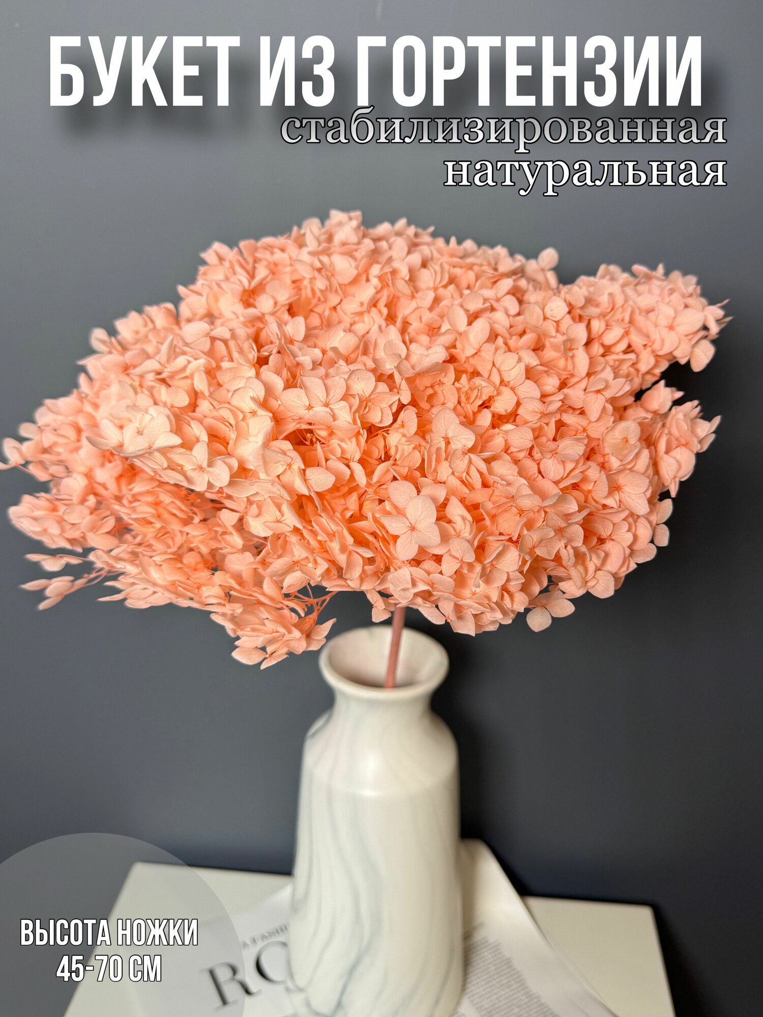 Гортензия стабилизированная сухоцветы для декора