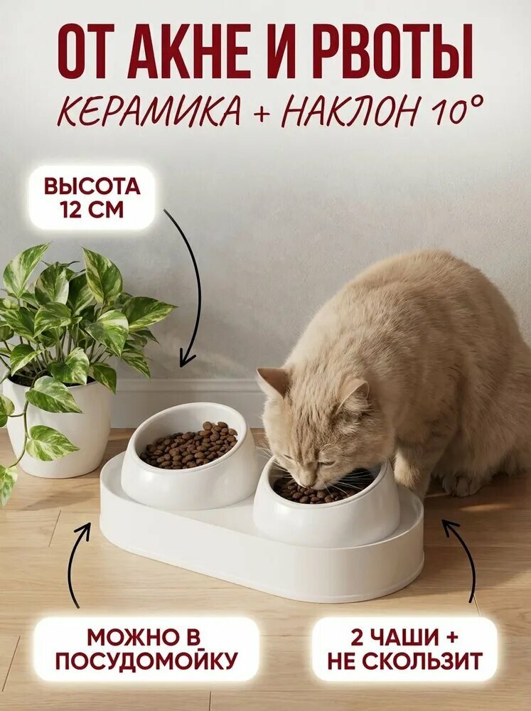 Миски для кошек керамические на подставке с наклоном, Двойная миска керамическая для кошек ортопедическая для воды и корма, Набор 2 шт, Белая широкая