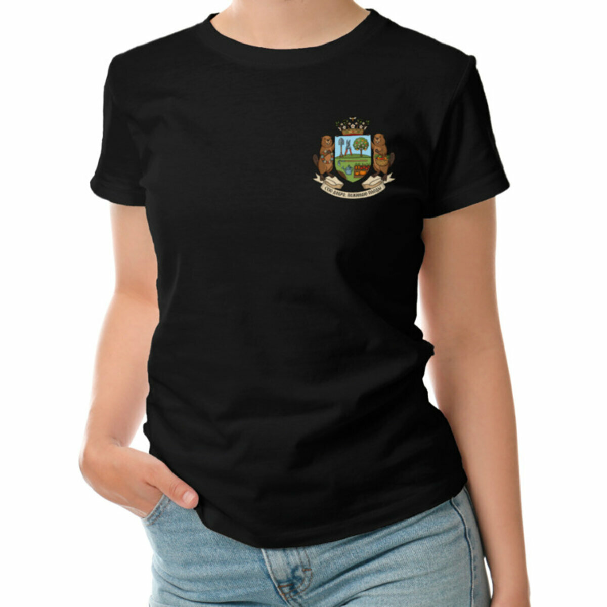 Женская футболка «огородник садовник дачник герб дачника сею добро» (черный, 2XL)