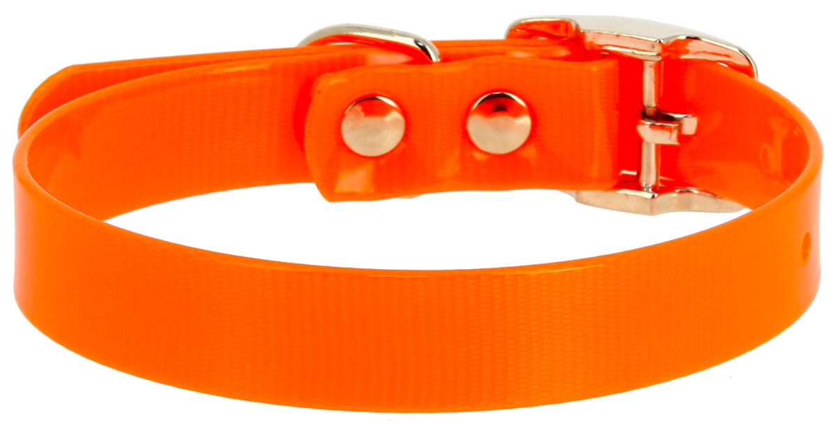Ошейник для собак Каскад биотан, цвет: оранжевый, ширина 12 мм, обхват шеи 20-24 см