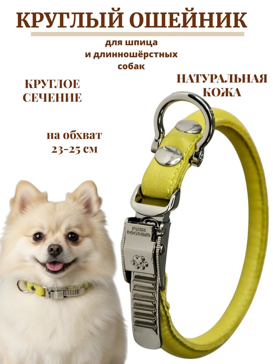 Ошейник Dogbond круглый для шпица и длинношерстных пород
