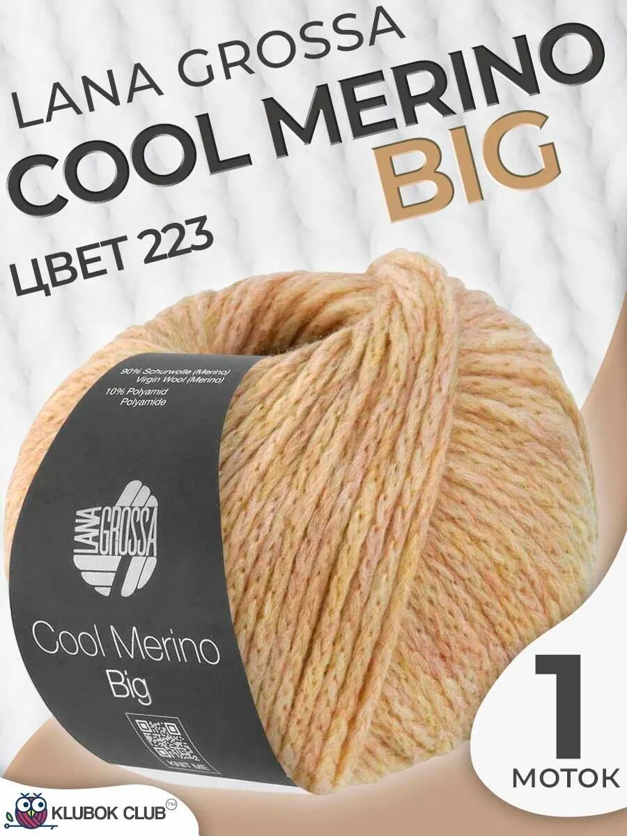 Пряжа для вязания Lana Grossa Cool Merino Big шнурок, цвет 223, 1 моток