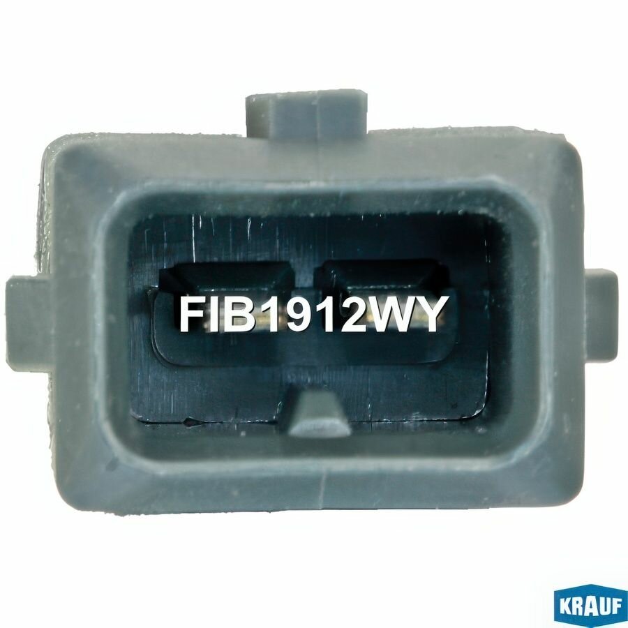 Форсунка топливная бензиновая, для Фольксваген Пассат, Шкода Суперб, Ауди A4 B5, A6 C5 арт FIB1912WY