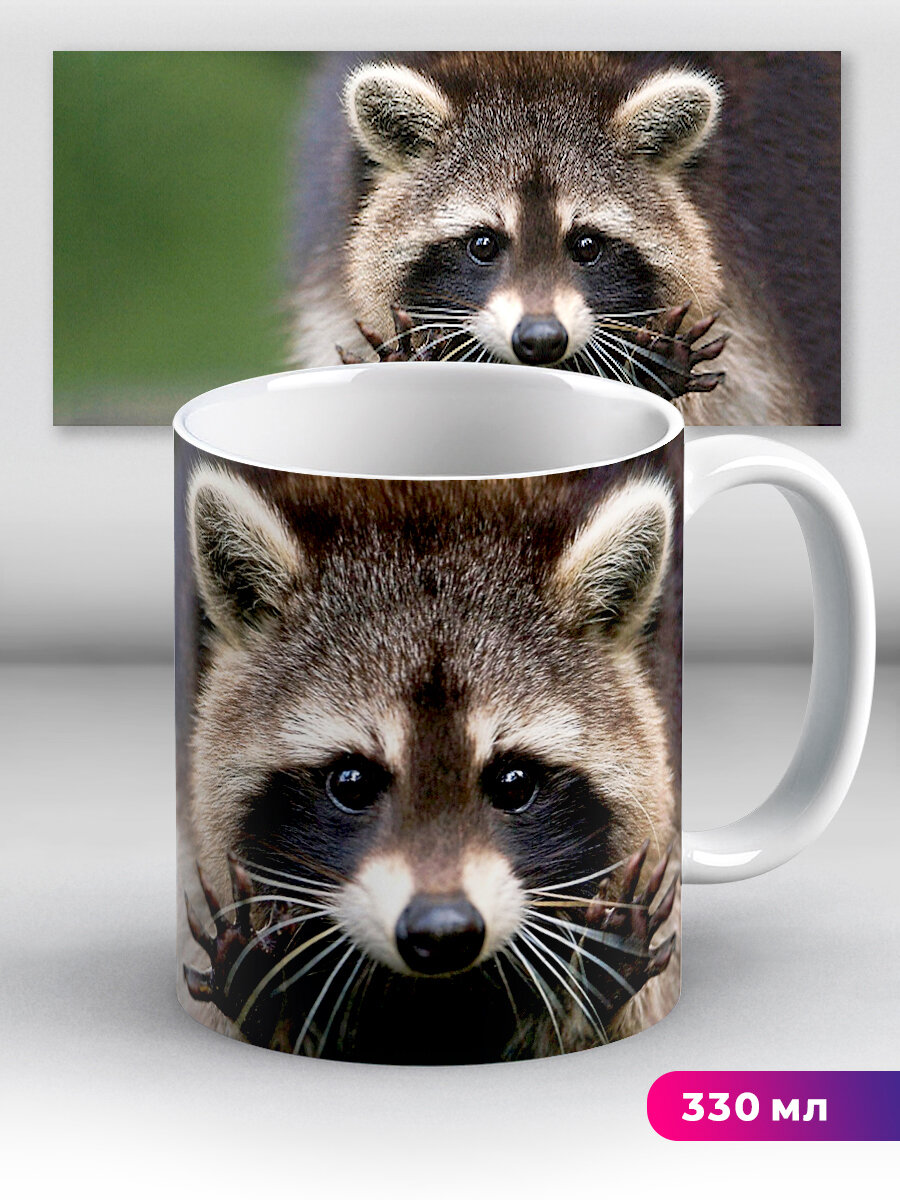 Кружка Енот полоскун милый енотик