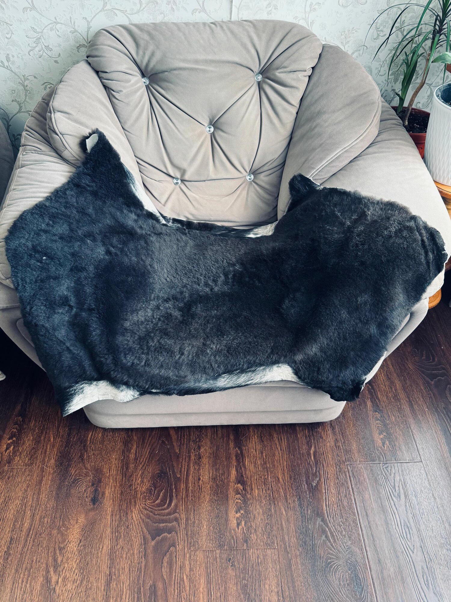 Ковер-накидка из натуральной овечьей шкуры (мех, овчина) для дома и авто