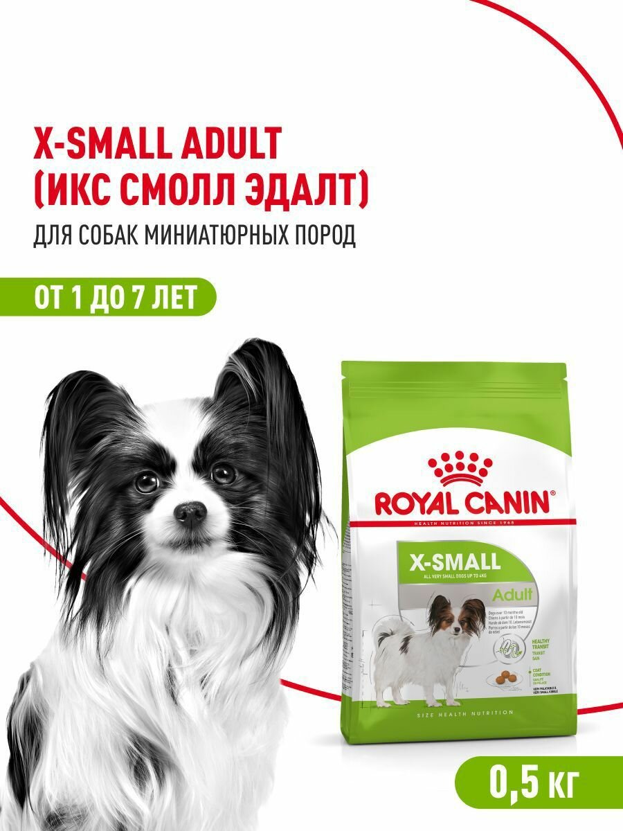 Сухой корм для собак Royal Canin X-Small для миниатюрных пород, 500 г
