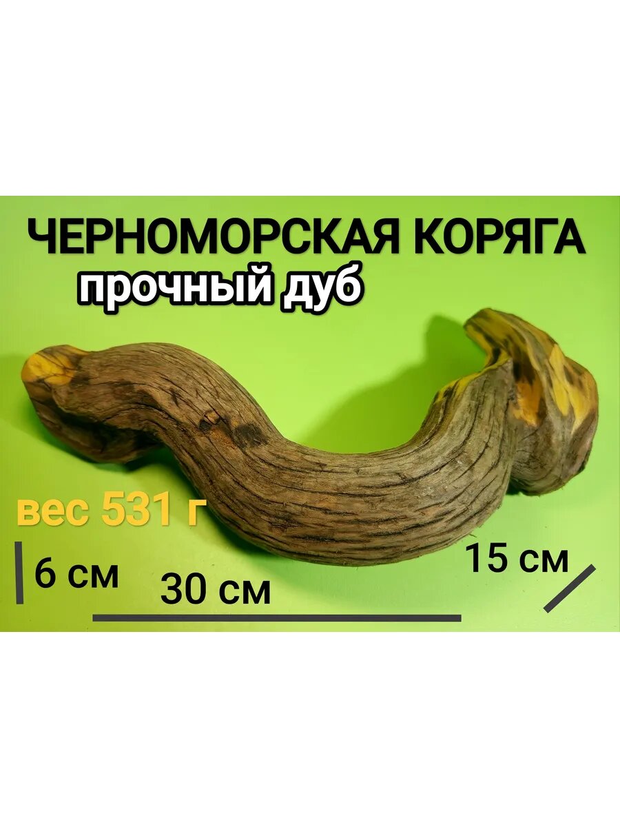 Коряга Черноморская змея для аквариума, террариума, вольера