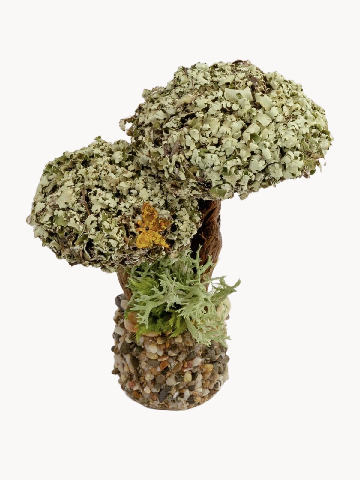 Живое дерево из исландского мха цетрария "Влюбленная пара" 9см