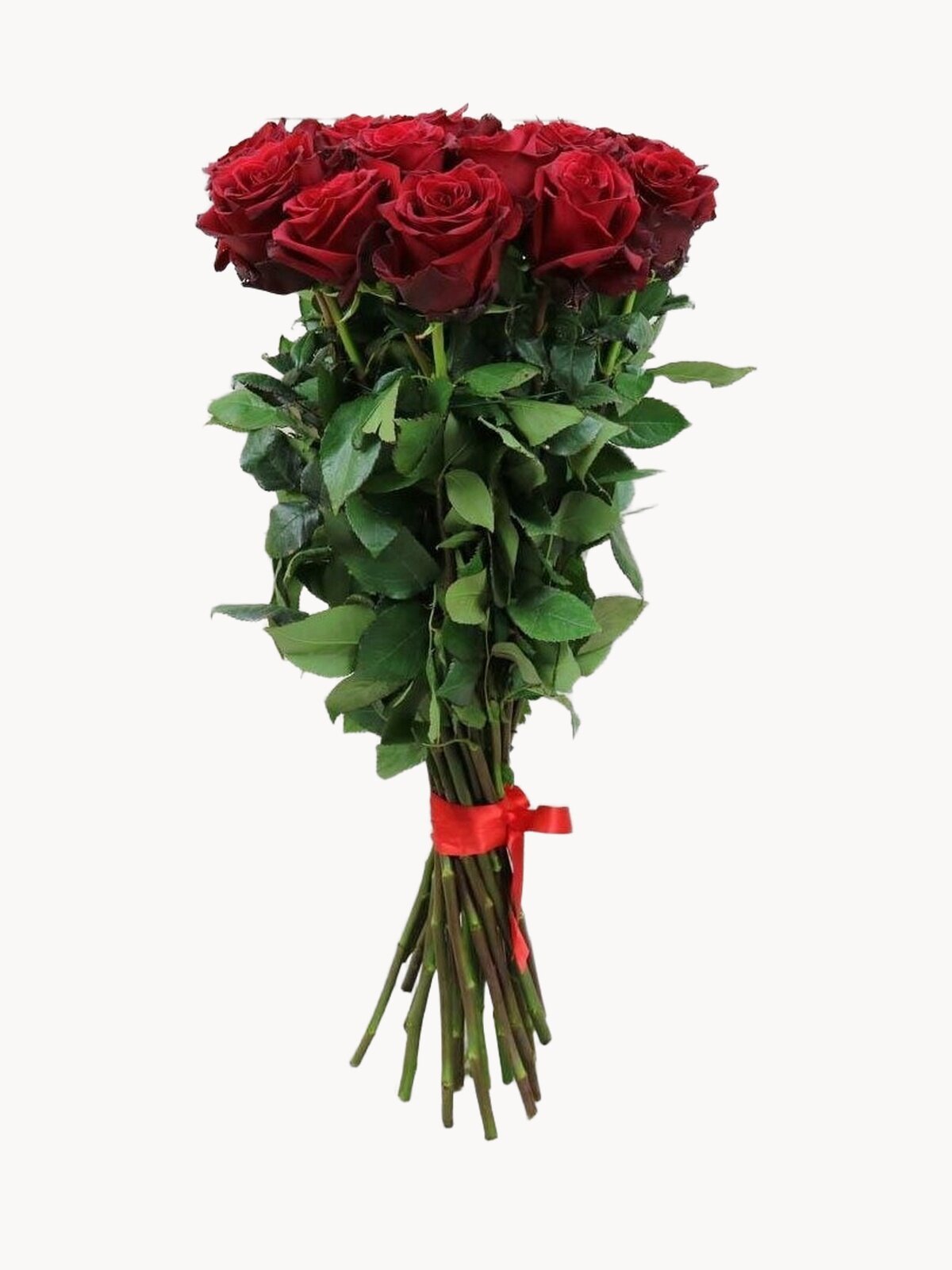 Букет Высокие Розы, 15 шт / Гигантские (Длинные) Розы / Доставка Цветов / 15 роз, 110 см (1 метр), метровые