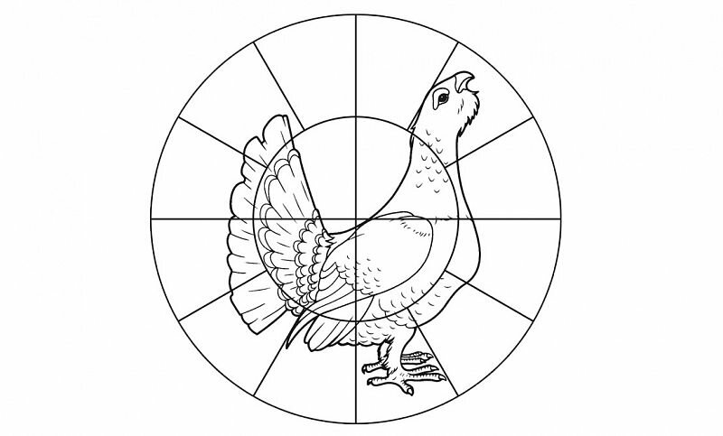 Мишень Для Пристрелки Дробовых Ружей 16-Дольная "глухарь"