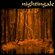 Диск Nightingale - I (Re-issue) (1 CD)