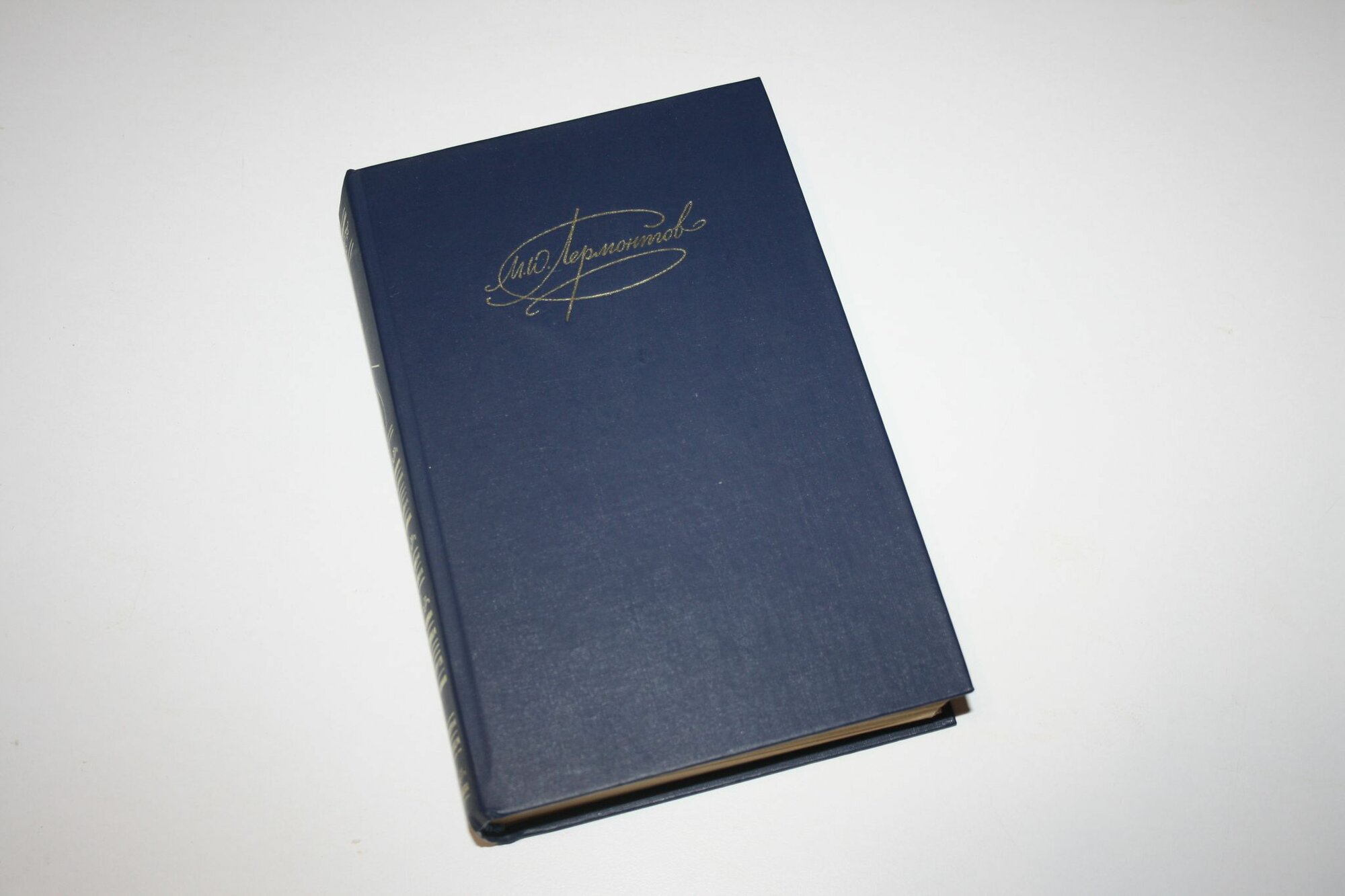 Сочинения в двух томах. Том 1. Стихостворения 1828-1841. Кавсказский пленник. Корсар. Демон. Мцыри