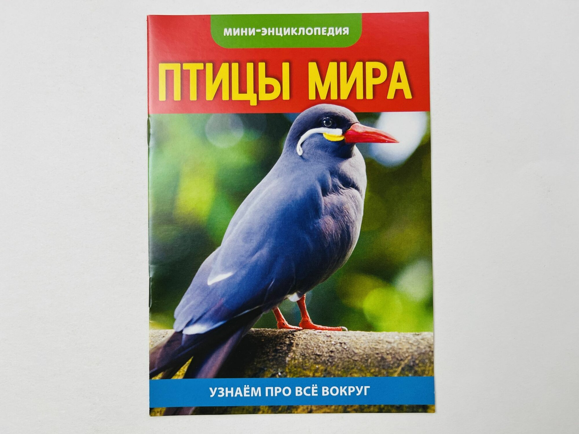 Птицы мира. Мини-энциклопедия