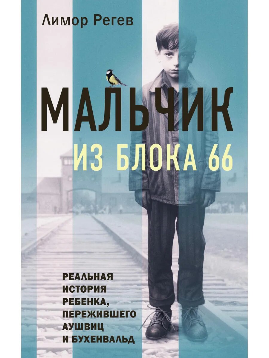 Мальчик из Блока 66: реальная история ребенка, пережившего А