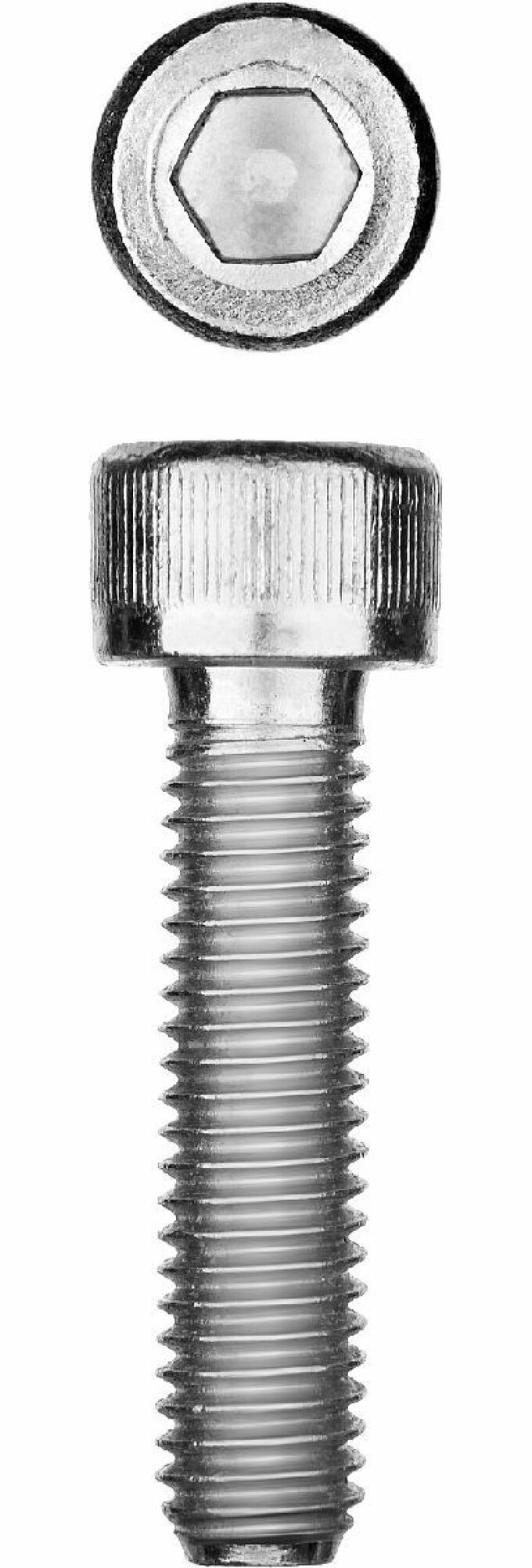 Винт с внутренним шестигранником ЗУБР Профессионал DIN 912 класс прочности 8 8 М8 х 35 мм размер под ключ 6 мм шаг резьбы 1 25 мм упаковка 5 кг 290 шт