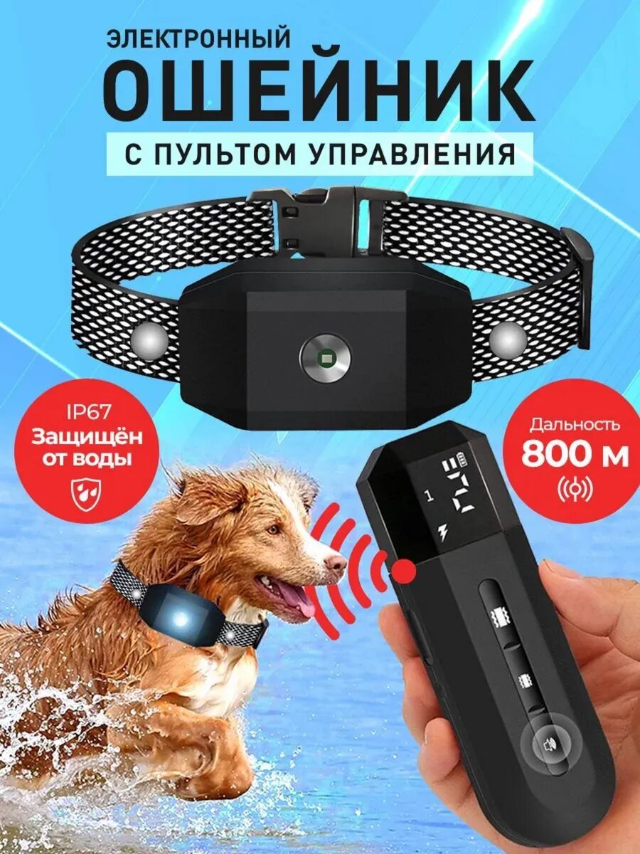 Ошейник для собак электронный