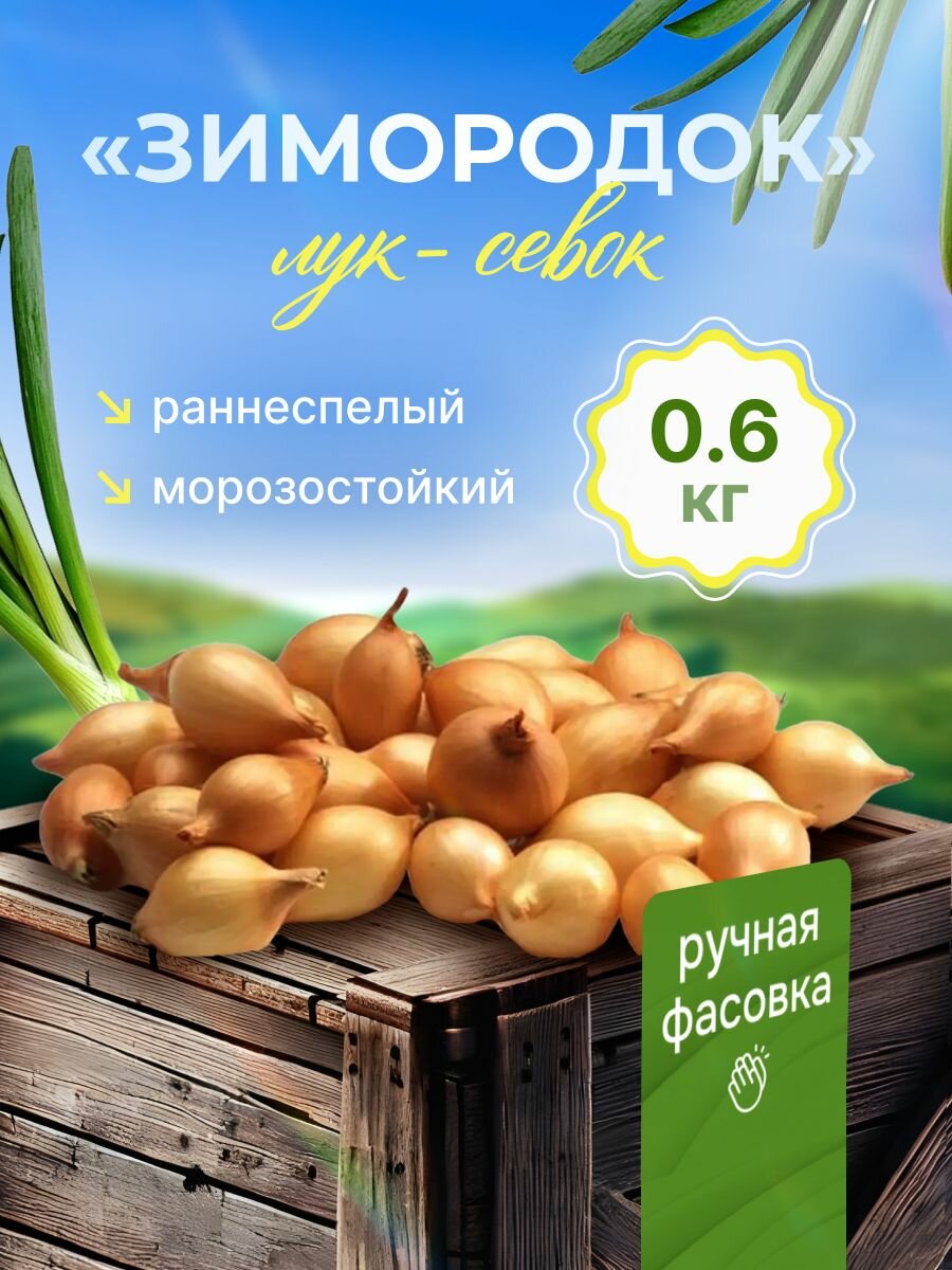 Лук севок на посадку "Зимородок" 600 г