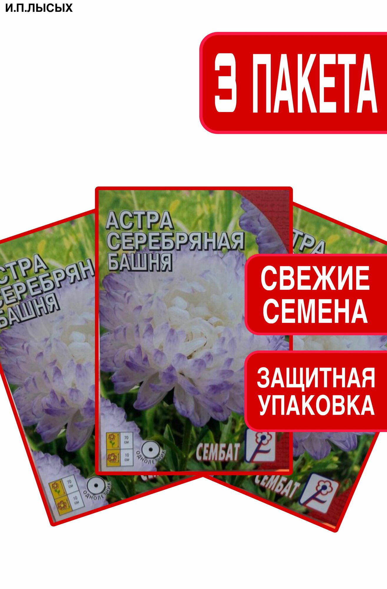 Семена Астра "Серебряная Башня"