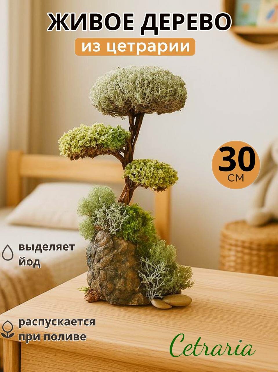 Бонсай из исландского мха Цетрария. Дерево настольное интерьерное.