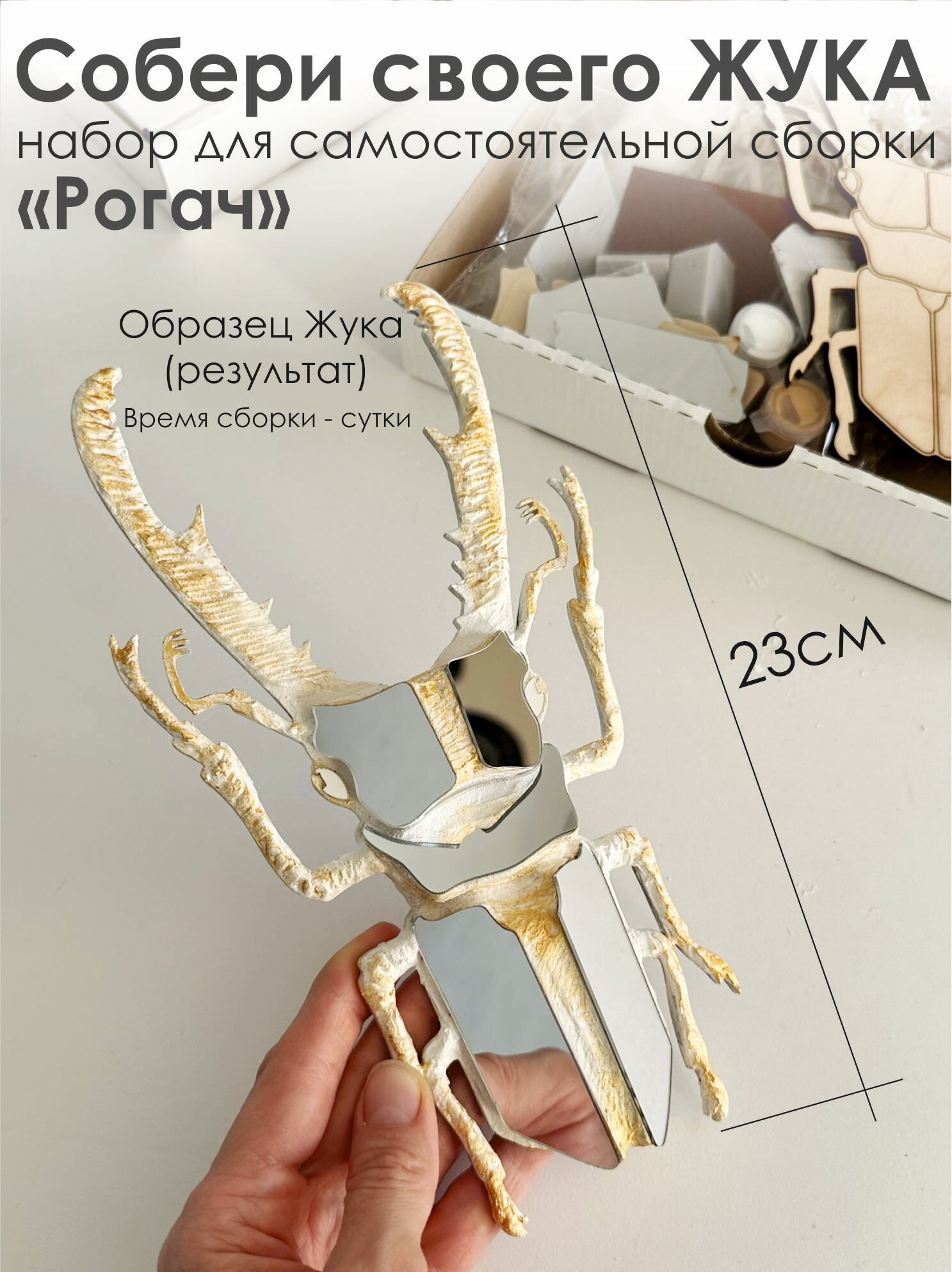 Набор для творчества "Мистер Жук" Рогач