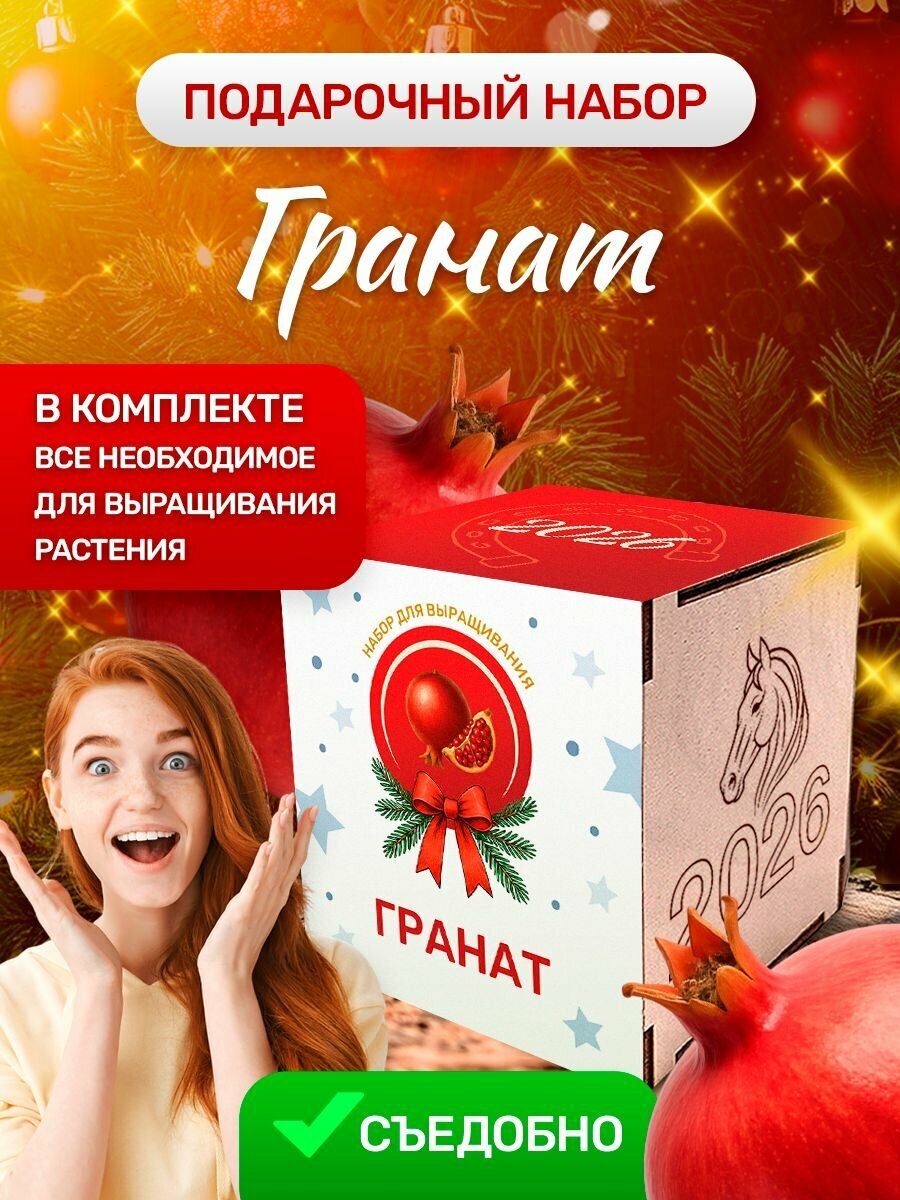 Гранат Новогодний набор для выращивания растений