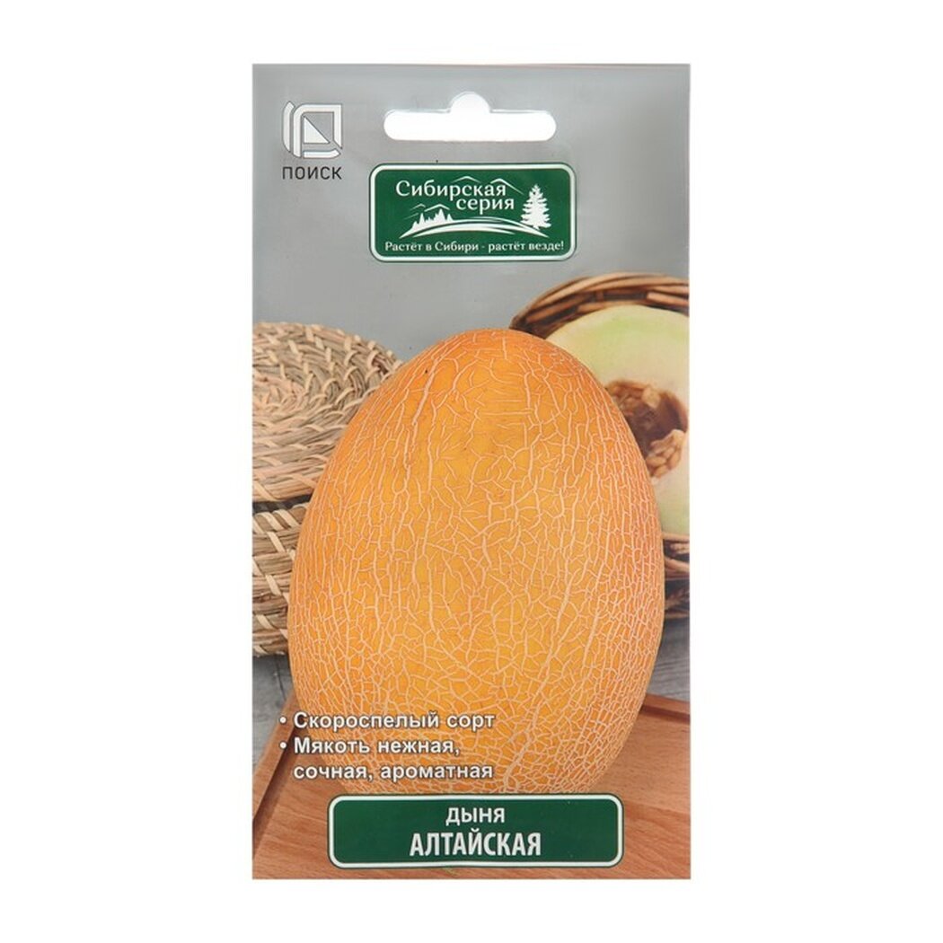 Семена поиск Дыня "Алтайская", скороспелый, в упаковке 15 штук