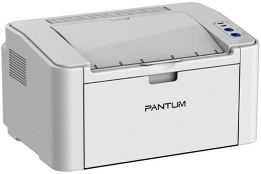 Принтер для малого офиса Pantum P2200, лазерный, монохромный, серебристый — фото 1