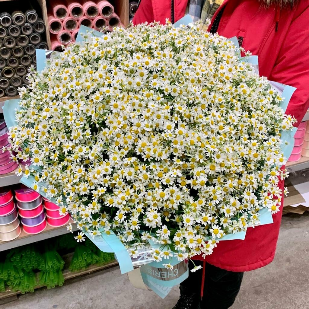 101 ромашка / Букет из 101 кустовой ромашки в авторской упаковке