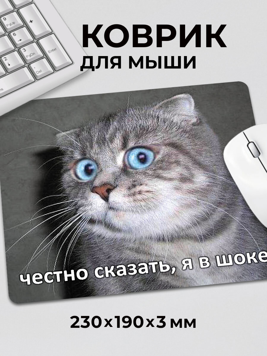 Коврик для мышки с приколом мем котик Честно сказать в шоке