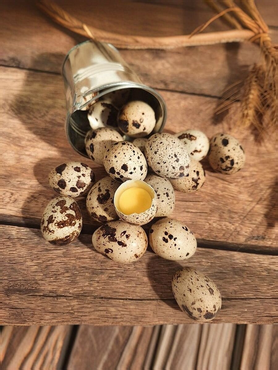 Яйцо перепелиное 20 шт, Ферма Евгения Рошаля