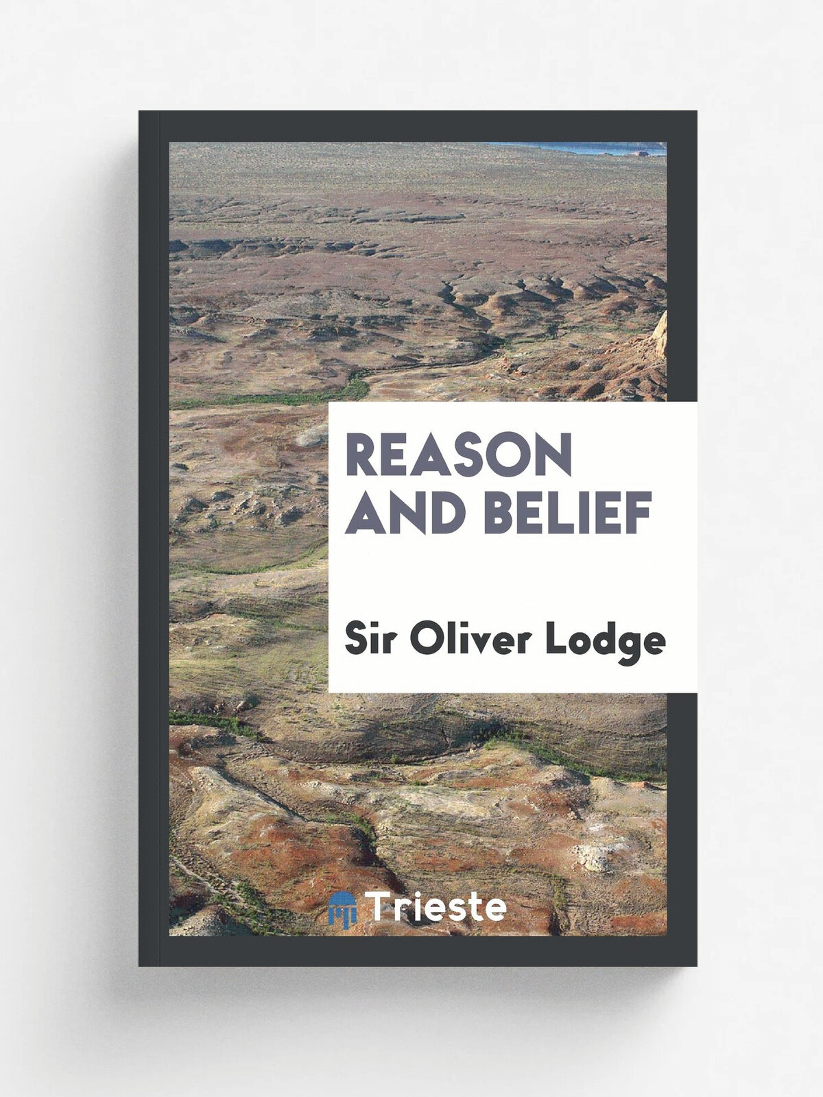 Reason and belief