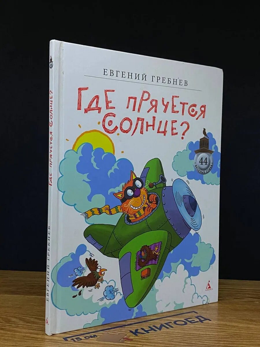 Книга. Где прячется солнце 2011 (2044090881901)