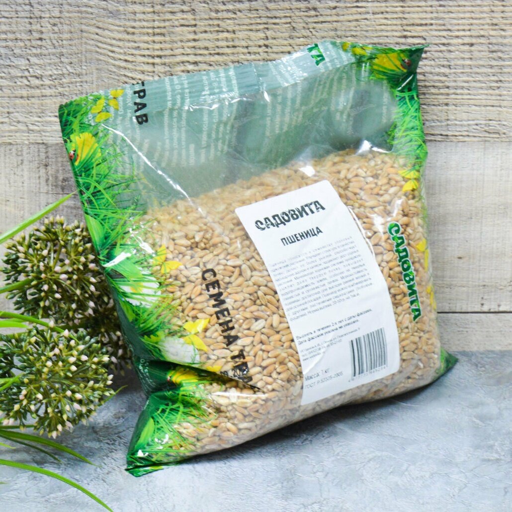 Сидерат пшеницы 1кг, экологичные семена для озеленения и удобрения участка