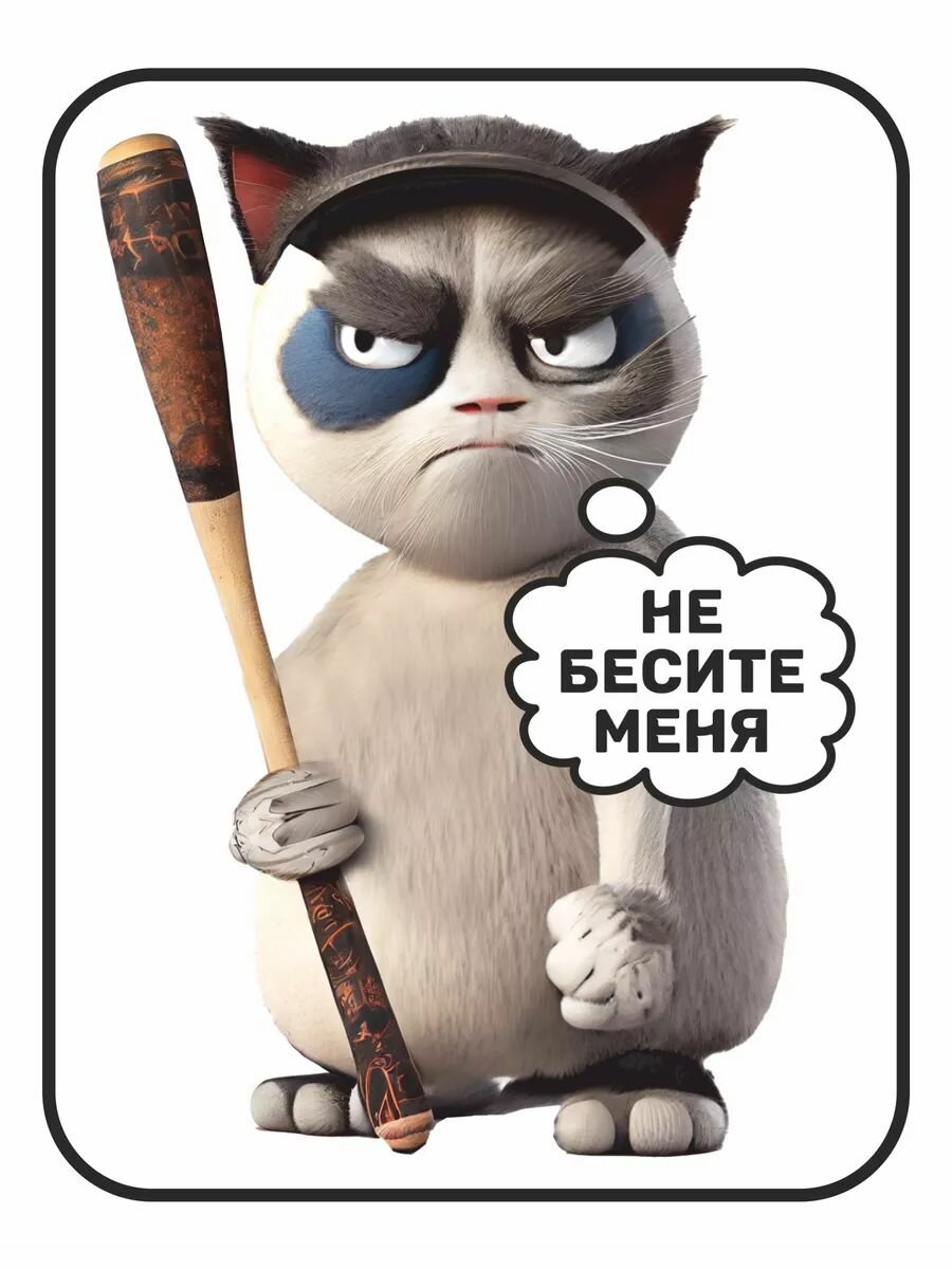 Наклейка на авто надпись с котом