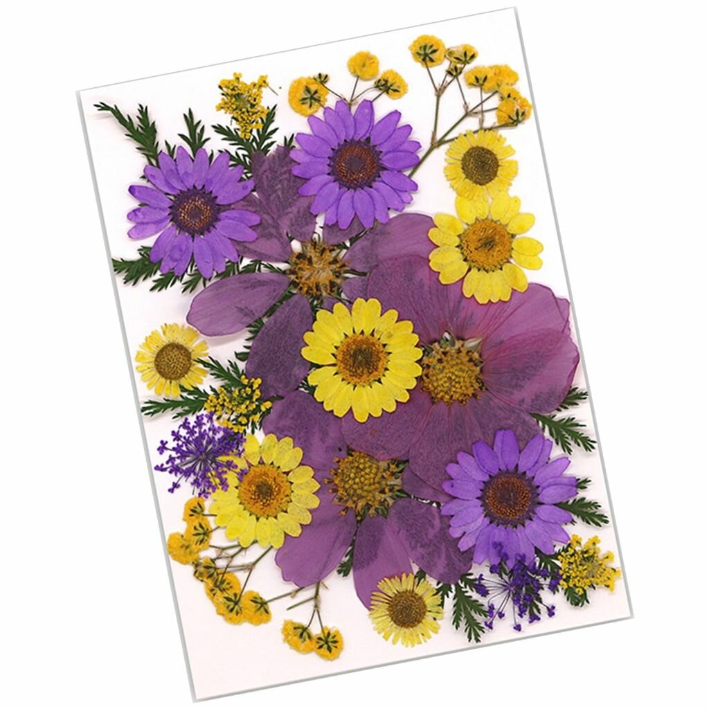 Набор сушеных цветов для эпоксидной смолы
