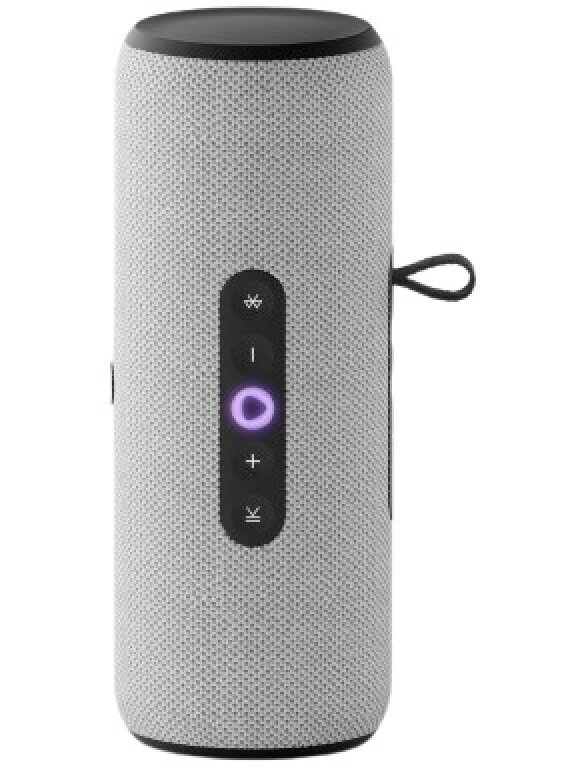 Умная колонка Yandex Стрит, 30Вт, серый (yndx-00030gry)