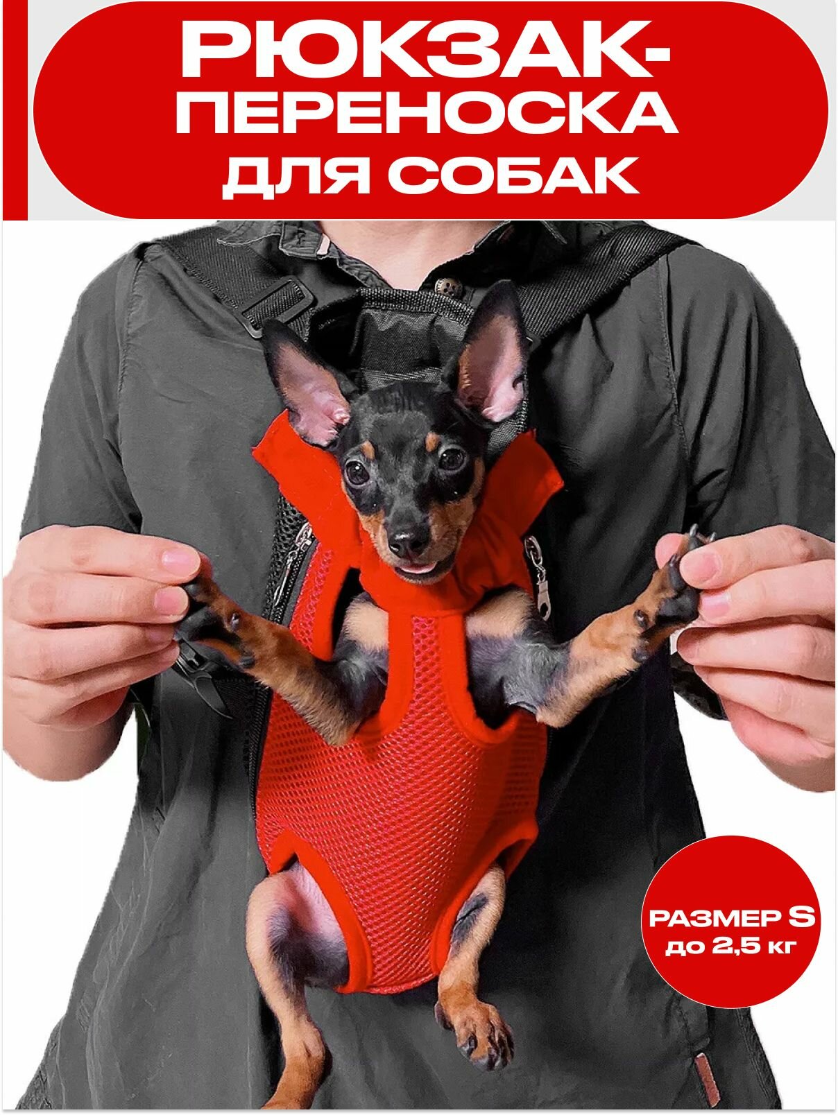 Рюкзак-переноска для кошек и собак