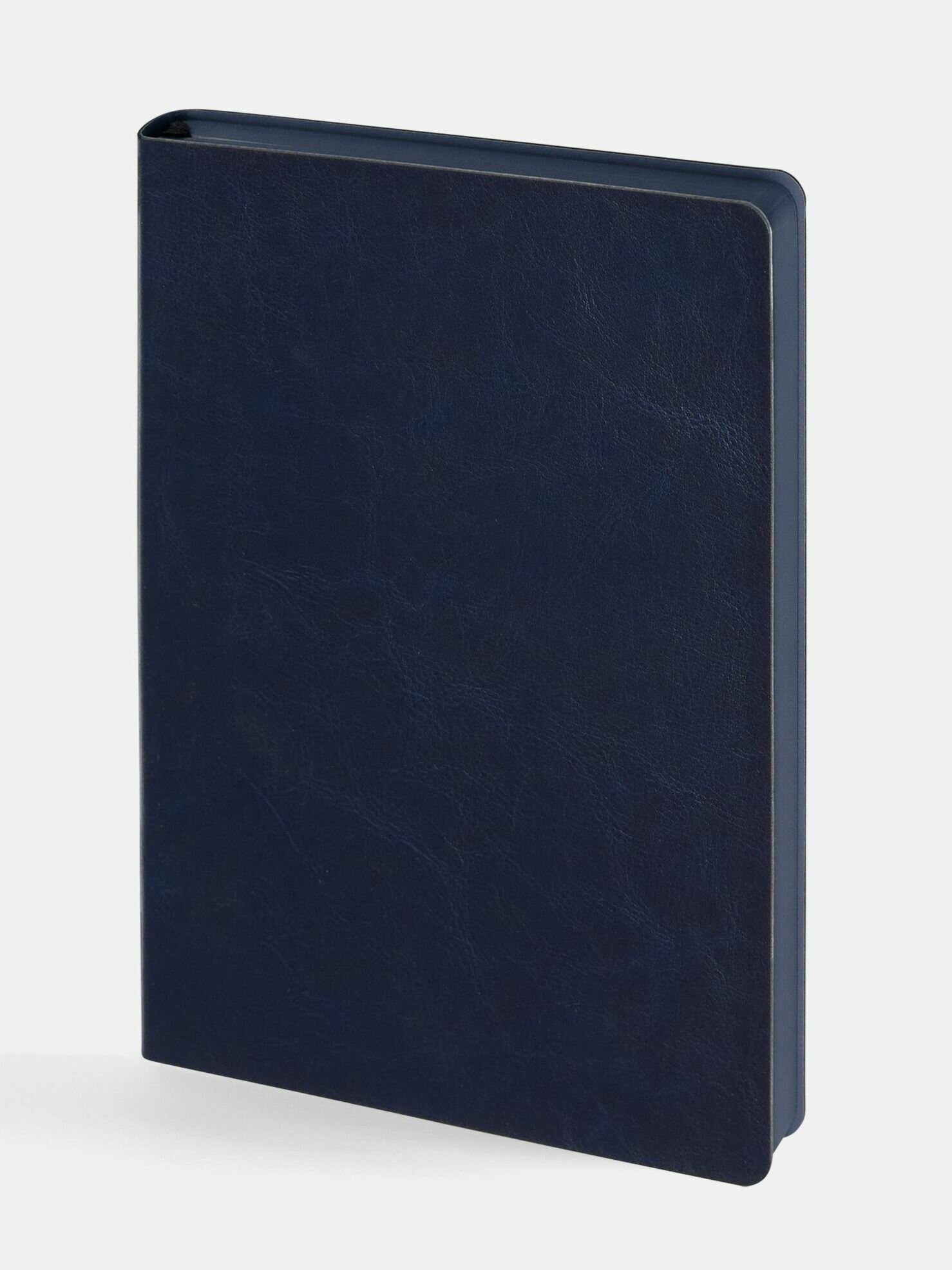 Ежедневник недатированный А5 с гибкой обложкой, планер школьный для учителя, Doppio, синий