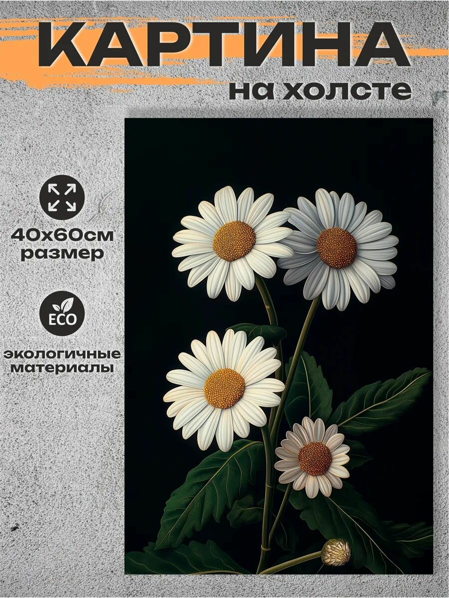 Картина на стену на холсте "Ромашки" 60х40 см