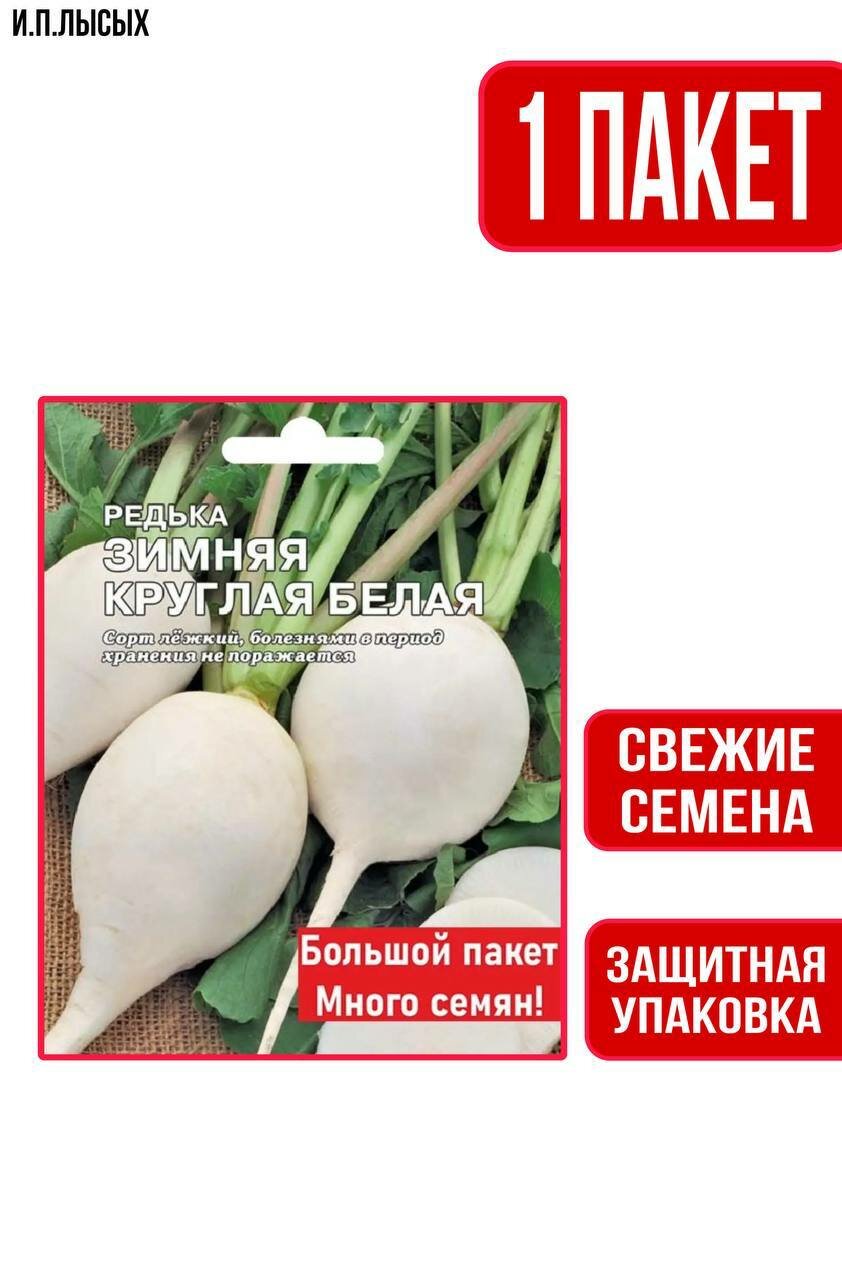 Семена Редька Круглая "Белая"