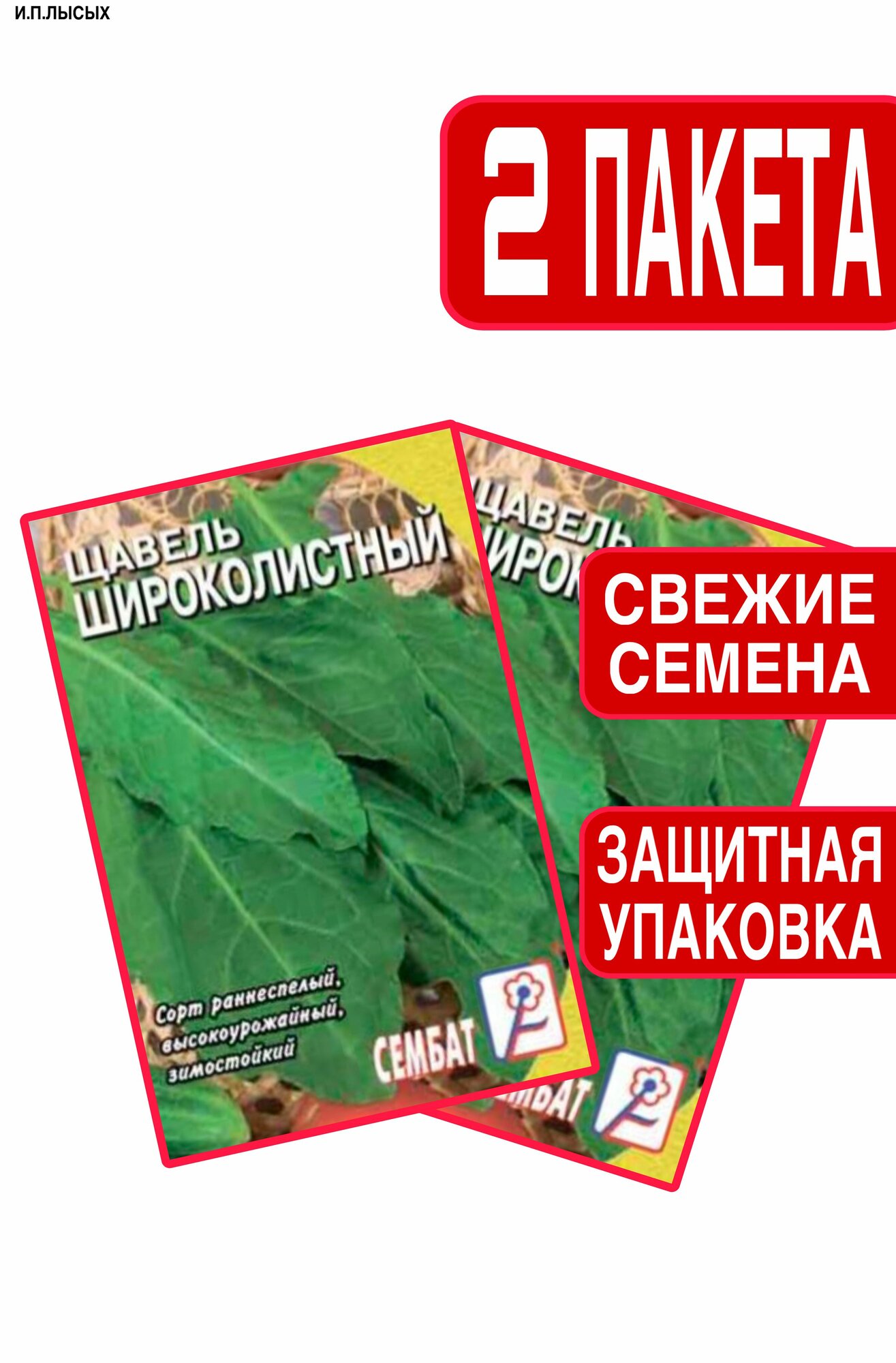 Семена Щавель "Широколистный"