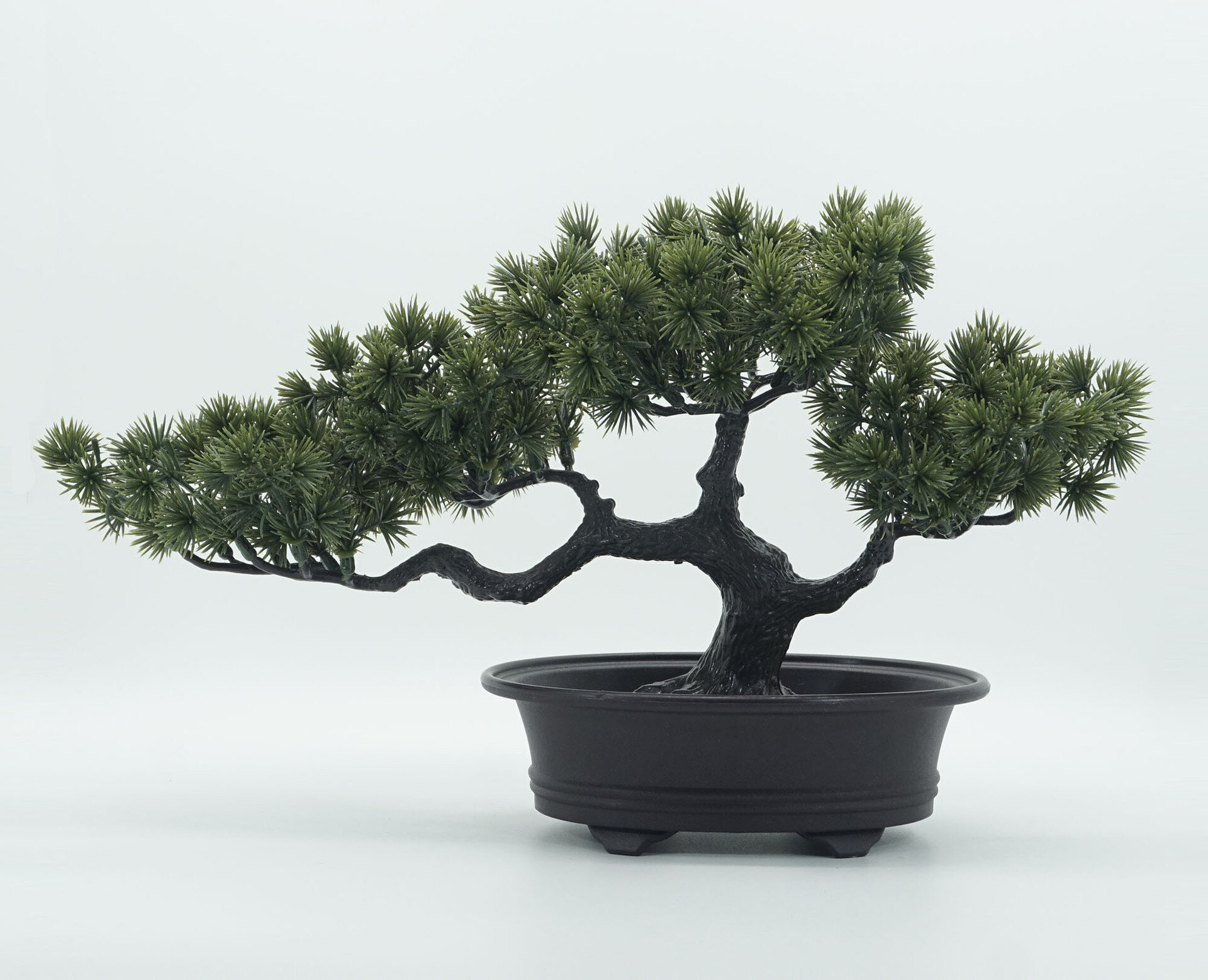 Растение бонсай "Долговечная сосна", в горшке, китайский стиль Дзен, темно-зеленое