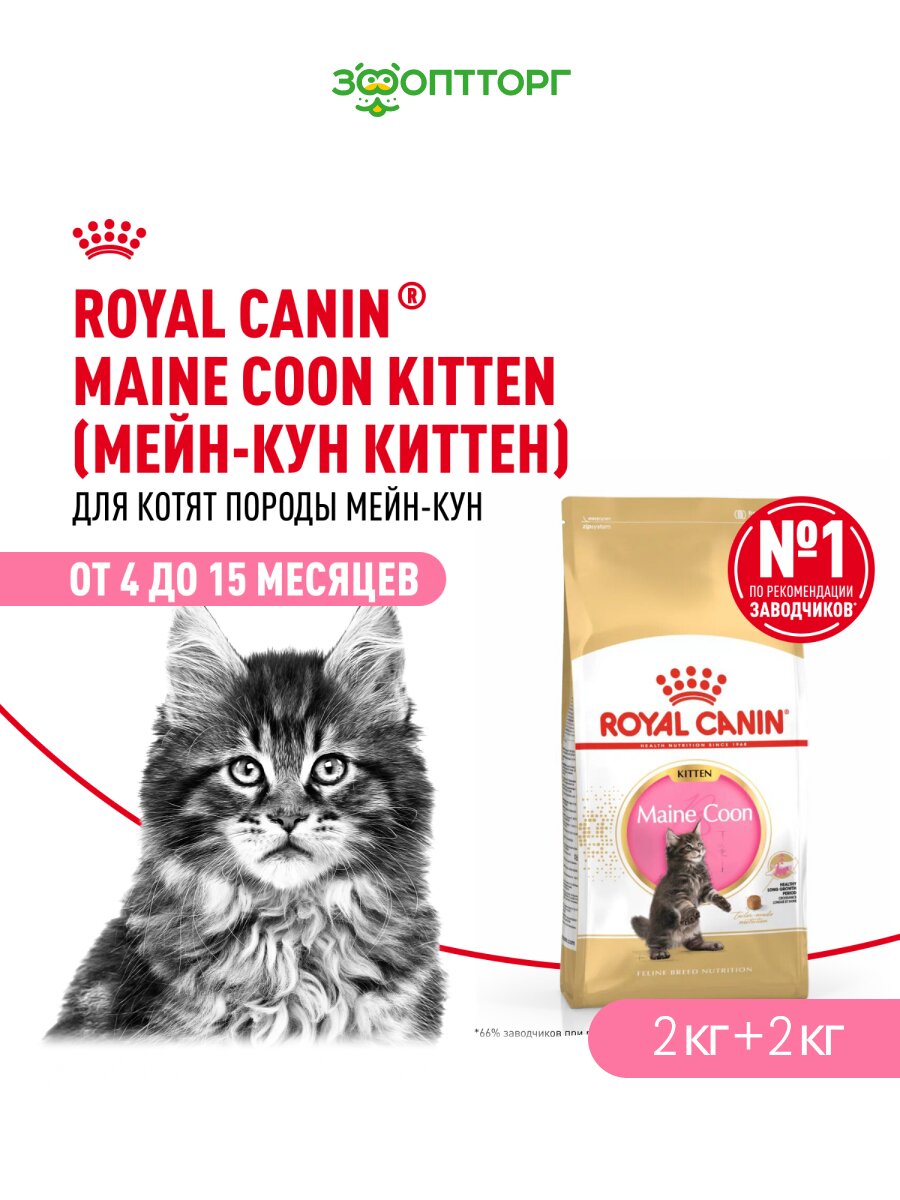 Сухой корм Royal Canin Maine Coon Kitten для котят породы мейн-кун Птица, 2 кг х 2 шт.