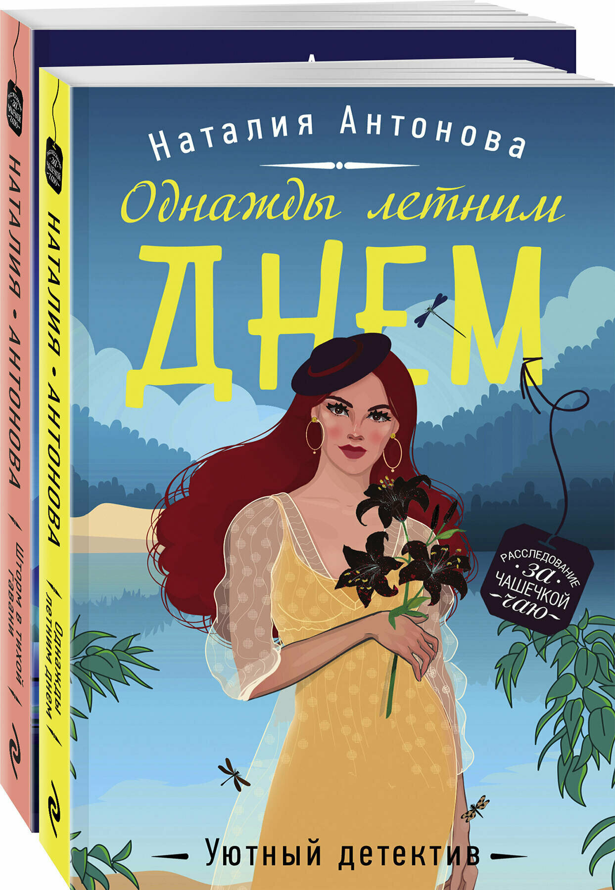 Антонова Н. Н. Комплект Летние расследования. Однажды летним днем+Шторм в тихой гавани