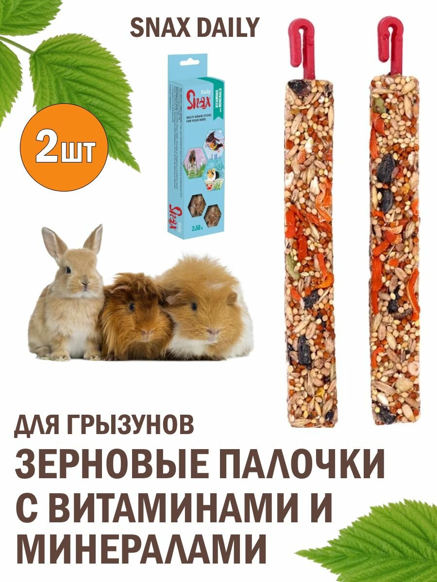 Snax Daily Зерновые палочки для грызунов с витаминами и минералами 2шт